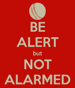 Time for a fresh start with Australia Day – The Terrier – Carol Altmann