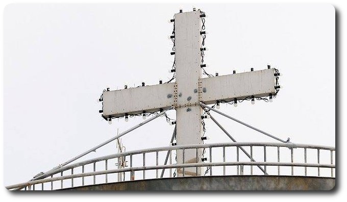 Missing: one old cross, last seen at FJs. – The Terrier – Carol Altmann